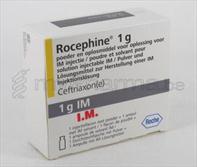 Pharmacie Parent SPRL : Substances actives - C - Ceftriaxone ...