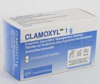 Pharmacie Parent SPRL : Substances actives - A - Amoxicilline ...